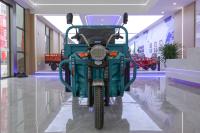 China New Model Electro Tricycle 3 Wheel Motorized Popular Adults Cargo for sale