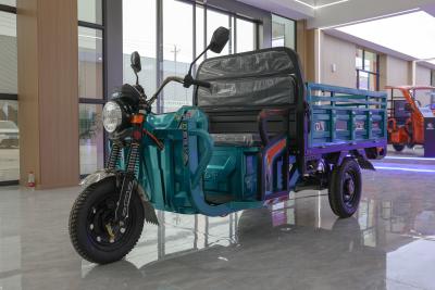 China Passenger Electric Motorcycle 3 Wheel Tuk Tuk 800W 30-50Km/H for sale