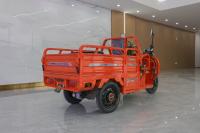 China Factory Produce Tuk Tuk Cargo Tricycle Chassis Motorcycle Cargo for sale