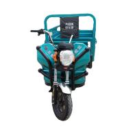 China Mobile Passenger Electric Tricycle Load King 1.8m Adults Hauling Goods for sale