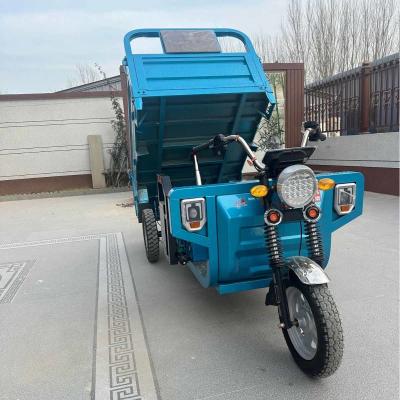 China Household Cargo Tricycle Climbing High Power Three Wheeler Delivery Van for sale