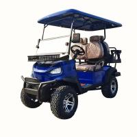 China Custom Golf Cart 4-6 Seats Scenic Electric Sightseeing Car Patrol for sale
