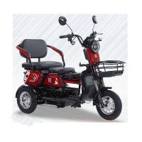 China Small Household Leisure Electric Tricycle 2 Seater Small for sale