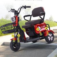China Small Household Leisure Electric Tricycle 2 Seater Small for sale