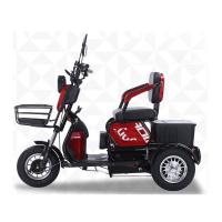 China Double Row Small Household Elderly Pick Up Leisure Electric Tricycle for sale