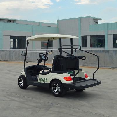 China Two-seater sightseeing car Electric golf cart Sightseeing car 48V AC configuration Big climbing four-wheel electric vehicle for sale