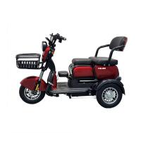 China New OEM Thickened Frame 48V 60V Tuk Tuk Adult Folding Electric Leisure Tricycle for sale