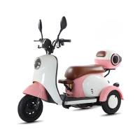 China China Factory sale Electric Tricycle  Adult Delivery for sale