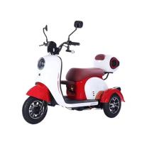 China China Factory sale Electric Tricycle  Adult Delivery for sale