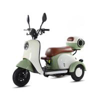 China China Factory sale Electric Tricycle  Adult Delivery for sale