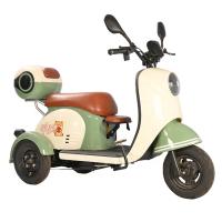 China China Factory sale Electric Tricycle  Adult Delivery for sale