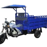 China Hot Selling Adult Cargo Tricycle 200cc  Petrol Tipper Motorized with Open Cabin for sale