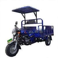 China Hot Selling Adult Cargo Tricycle 200cc  Petrol Tipper Motorized with Open Cabin for sale