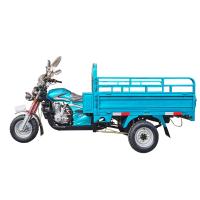 China Original Factory Motorized Cargo Motorcycle 150cc Engine Petrol Tricycle for sale