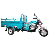 China Original Factory Motorized Cargo Motorcycle 150cc Engine Petrol Tricycle for sale