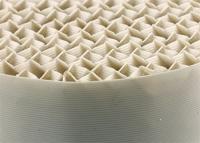 China Plastic Gauze Corrugated Structured Packing RPP PVDF CPVC High Gas Content for sale