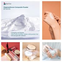 China TDS Silicone Powder Treated With Silica Hydro Cosmetic Provides Mattifying Effect And Help Mask Wrinkles for sale