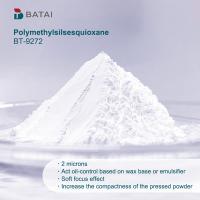China Chemical Material Polymethylsilsesquioxane Silicone Resin Powder For Weather Resistant Industrial Coatings for sale