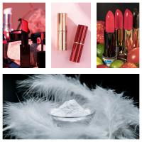 China 12 Microns Silicone Powder Provide Long Lasting Water Resistant Matte Finish In Liquid Lipstick for sale