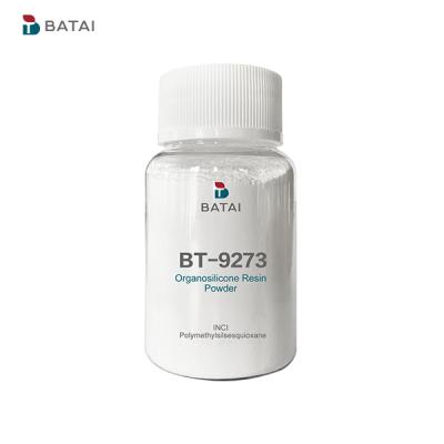 China High-Purity Polymethylsilsesquioxane Powder (CAS 68554-70-1) for Matte Cosmetics for sale