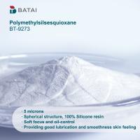 China High-Purity Polymethylsilsesquioxane Powder (CAS 68554-70-1) for Matte Cosmetics for sale