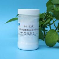 China High Purity silicone Powder: Cosmetic Raw Material Polymethylsilsesquioxane PMSQ for sale