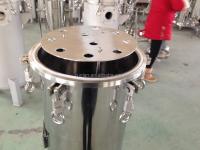 China Industry Liquid Filter Flange Type Precision Filter for Milk Beer and Water Treatment for sale