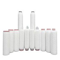China High Flow Rate PES Pleated Filter Cartridge 0.1 0.22 0.45 Micron for Liquid Filtration for sale