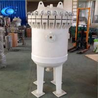 China Seawater Desalination Water Plastic FRP Bag Filter Housing with Filter Bag and 60KG Weight for sale