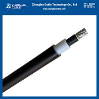 China 15kv Overhead Insulated Tree Cable AAC/SC/XLPE/HDPE NTC5909 for sale