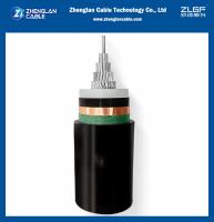 China Fire Resistant Intermediate Voltage Cords With CTS/CWS Metal Screen XLPE Insulated PVC Sheath Power Cable for sale