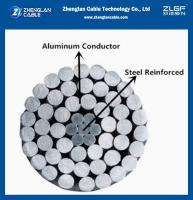China Cable ACSR Overhead Bare Aluminum Conductor Steel Reinforced Conductor BS 215 for sale