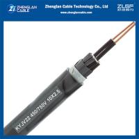 China 0.6/1kV XLPE Insulated Control Cable Copper Conductor PVC Sheathed - Armored Control Cable for Power Stations for sale