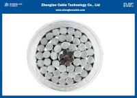 China Overhead Bare Conductor Wire ( Area AL:160mm2 Steel:26.1mm2 Total 186mm2 )​, （AAC,AAAC,ACSR） for sale