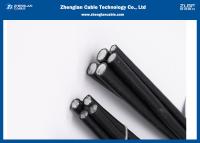 China CAAI 0,6/1KV 2x16mm2+NA1x25mm2 XLPE Insulated Cable for sale