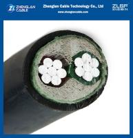 China 1kv Aluminum Power Cable Unarmored PVC Sheathed 2x10mm2 IEC60502-1 IEC60332-1 for sale