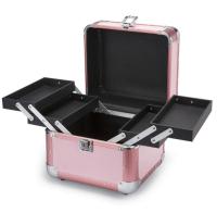 China Wear Resistant Aluminium Cosmetic Case 0.8 Kgs Light Weight Makeup Beauty Box For Transport for sale
