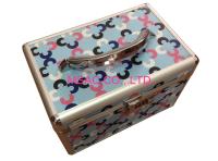 China Small Aluminum Hair Dressing Cases, Light weight Disney Beauty Cases, PVC Beauty Box for sale