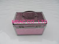 China Small Aluminum Cosmetic Train Cases With Butterfly Stylish for sale