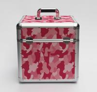 China Custom LP 100 12'' Aluminum DVD/CD Storage Case Aluminum Media Vinyl Storage Case for sale