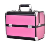 China Large Aluminum Beauty Box With Plastic Trays for sale