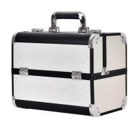 China Large Aluminum Beauty Box With Plastic Trays for sale