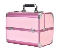 China Large Aluminum Beauty Box With Plastic Trays for sale