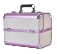 China Large Aluminum Beauty Box With Plastic Trays for sale
