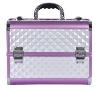 China Customized Professional Middle Size Aluminium Beauty Case Multi Color for sale