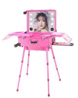 China Professional Bluetooth Aluminum Makeup Case With Light Size 580 * 450 * 220mm Multi Color for sale