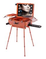 China Professional Bluetooth Aluminum Makeup Case With Light Size 580 * 450 * 220mm Multi Color for sale