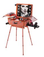 China Professional Bluetooth Aluminum Makeup Case With Light Size 580 * 450 * 220mm Multi Color for sale