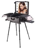China Professional Bluetooth Aluminum Makeup Case With Light Size 580 * 450 * 220mm Multi Color for sale