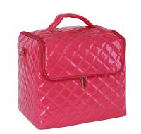 China Professional Beauty Bag With Zipper Makeup Train Case With Shoulder Strap for sale